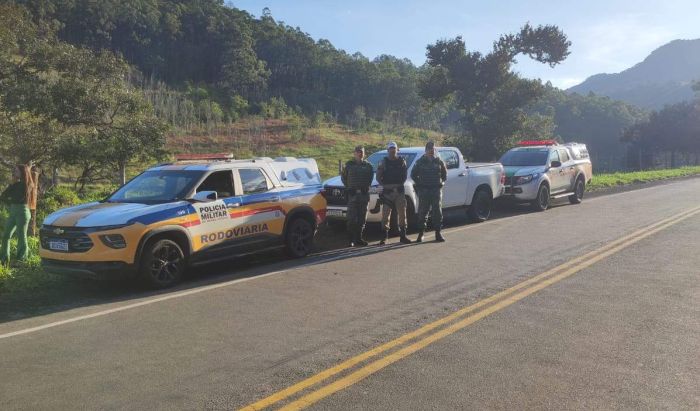 Portal Caparaó - Homem é preso com caminhonete furtada na MGC-482, em ...